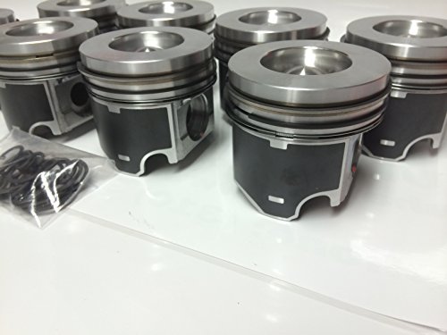 6.0 6.0L Diesel Standard Size Pistons set 8 Ford Powerstroke 03-10 ...